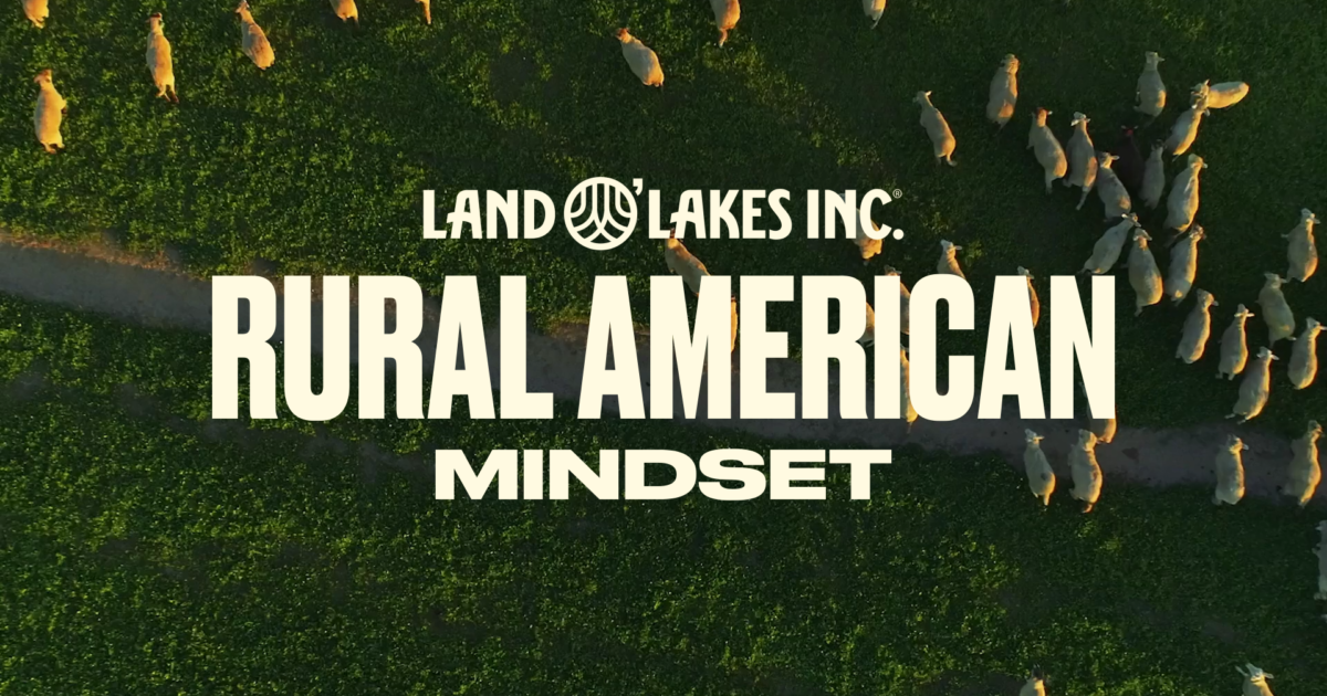 Land O’Lakes | Zeus Jones